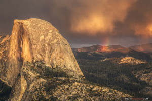 Giant Sequoias – Malcolm MacGregor Photography